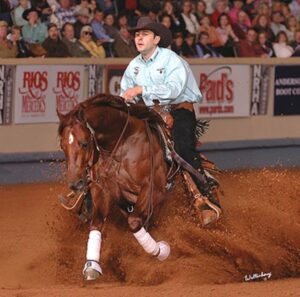 Electric Code - Perfect Horse Auctions