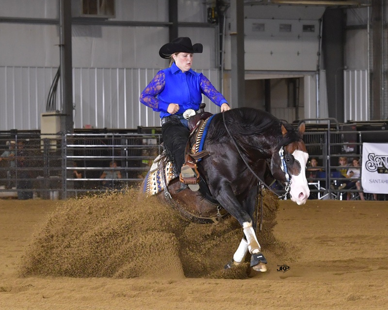 Alpha Jac Sparrow - Horse & Stallion Auctions Online