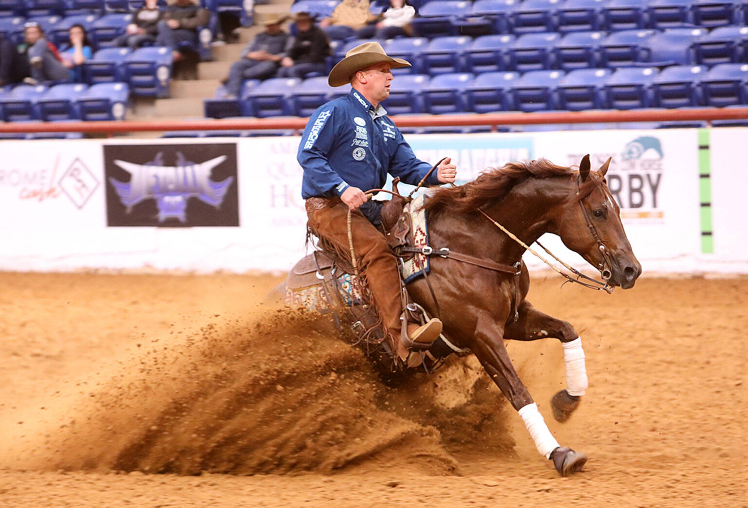 Hott Rod - Perfect Horse Auctions