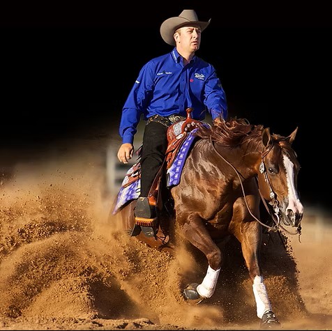 Tinker With Guns - Horse & Stallion Auctions Online